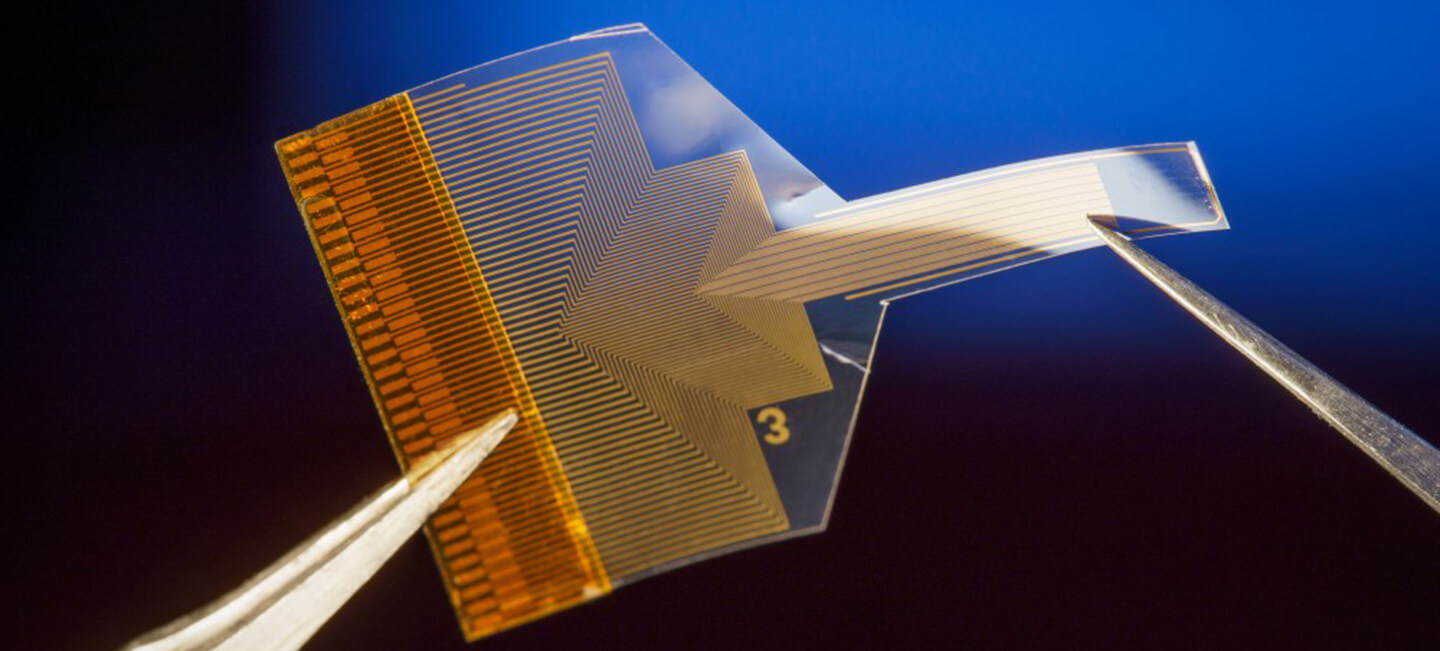 SCI - C&I Issue 1 2024 - Graphene that reads minds