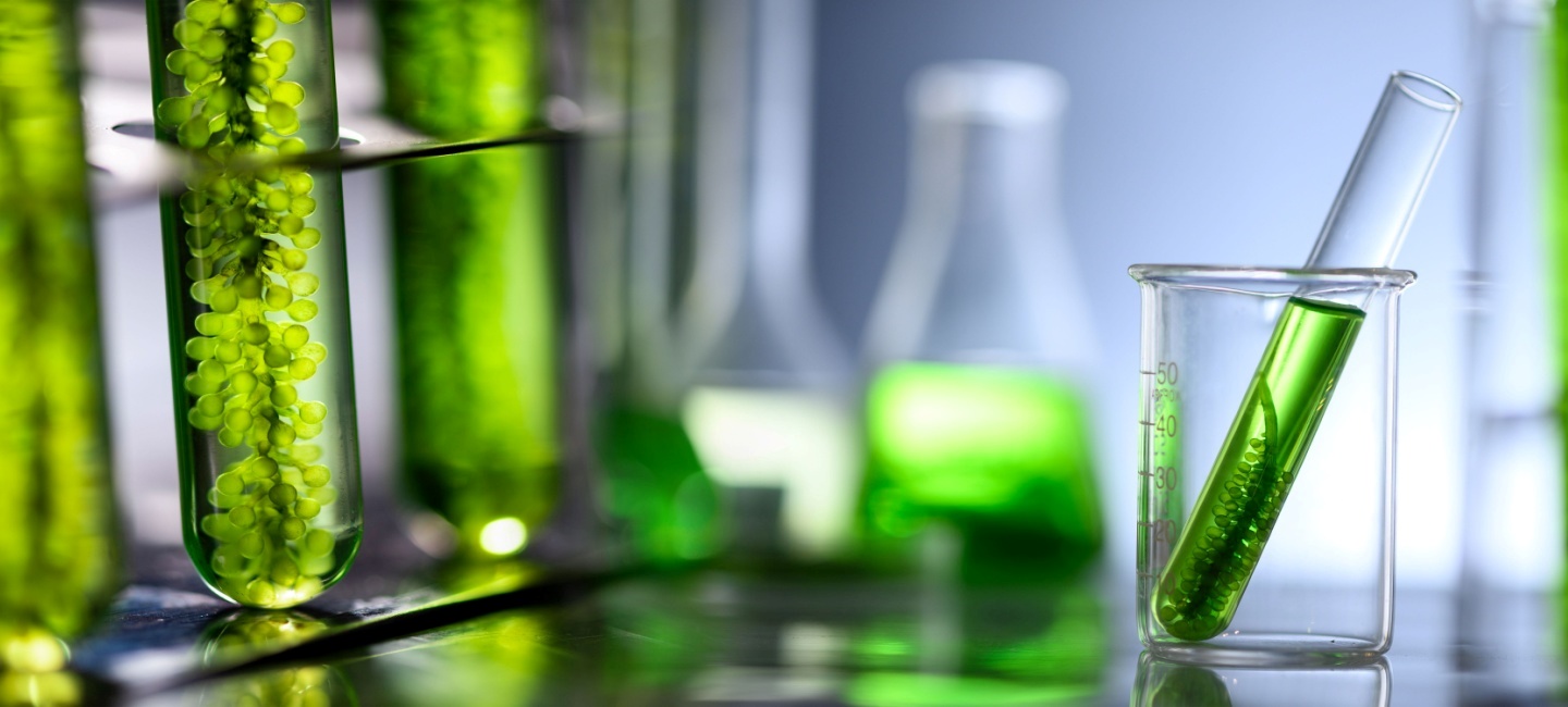 Industrial biotech: A look ahead