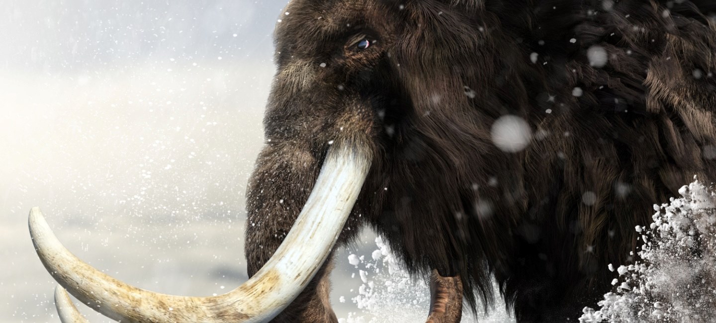 How AI could fuel a mammoth antibiotic discovery