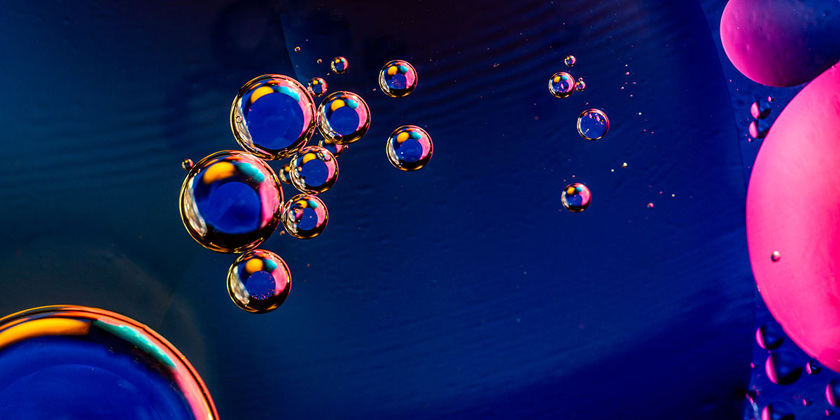 SCI: Event - Lipids Group AGM and Young Lipid Scientist Award 2025