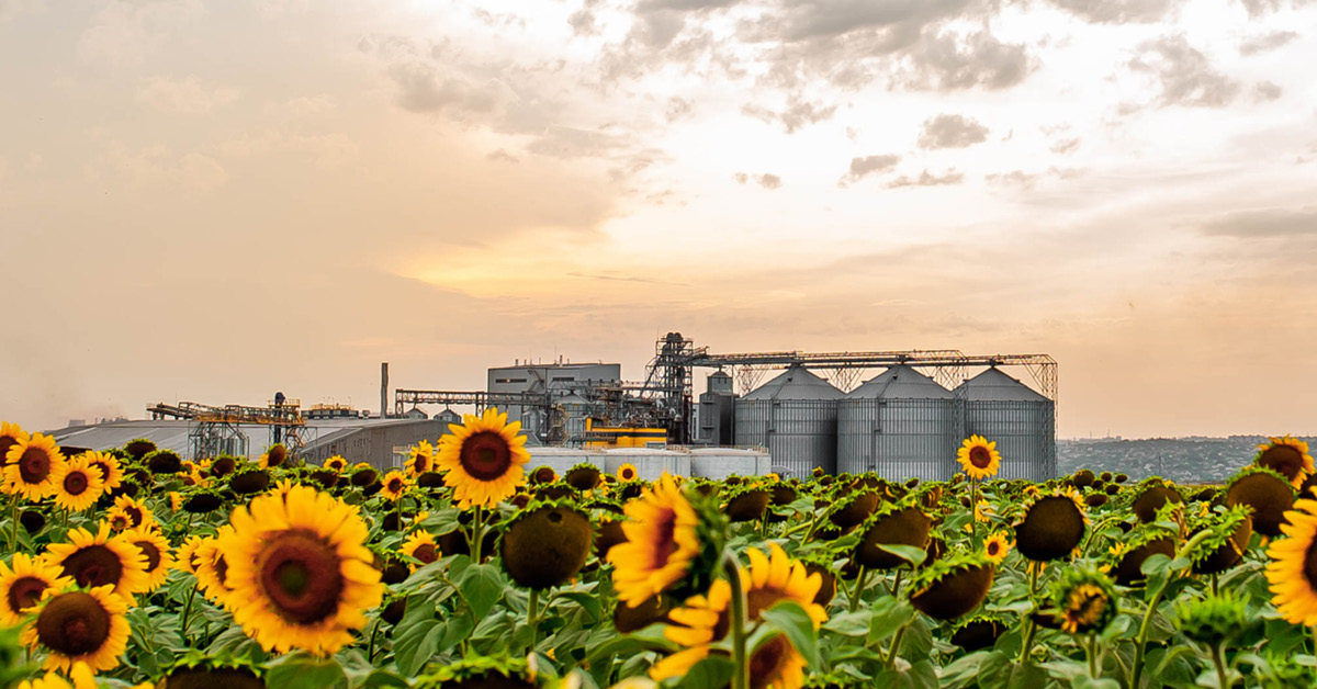 A Celebration of Careers in Agri-Food
