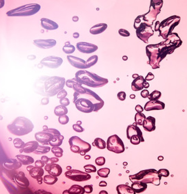 SCI – Where Science Meets Business