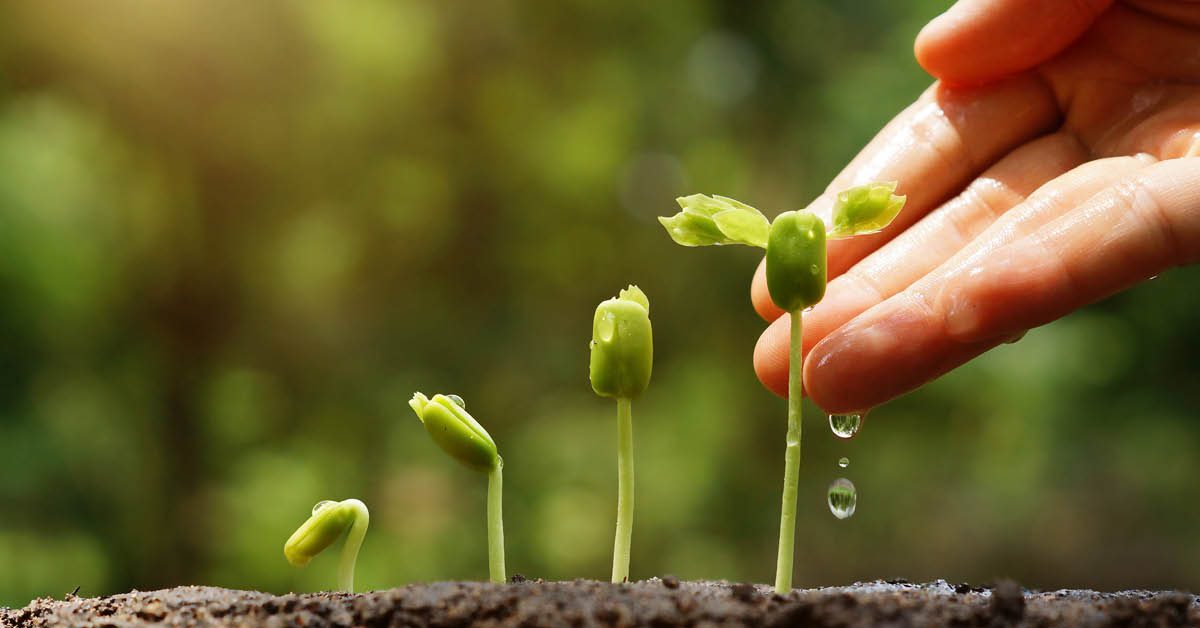 Innovations in Crop Protection towards Sustainable Agriculture