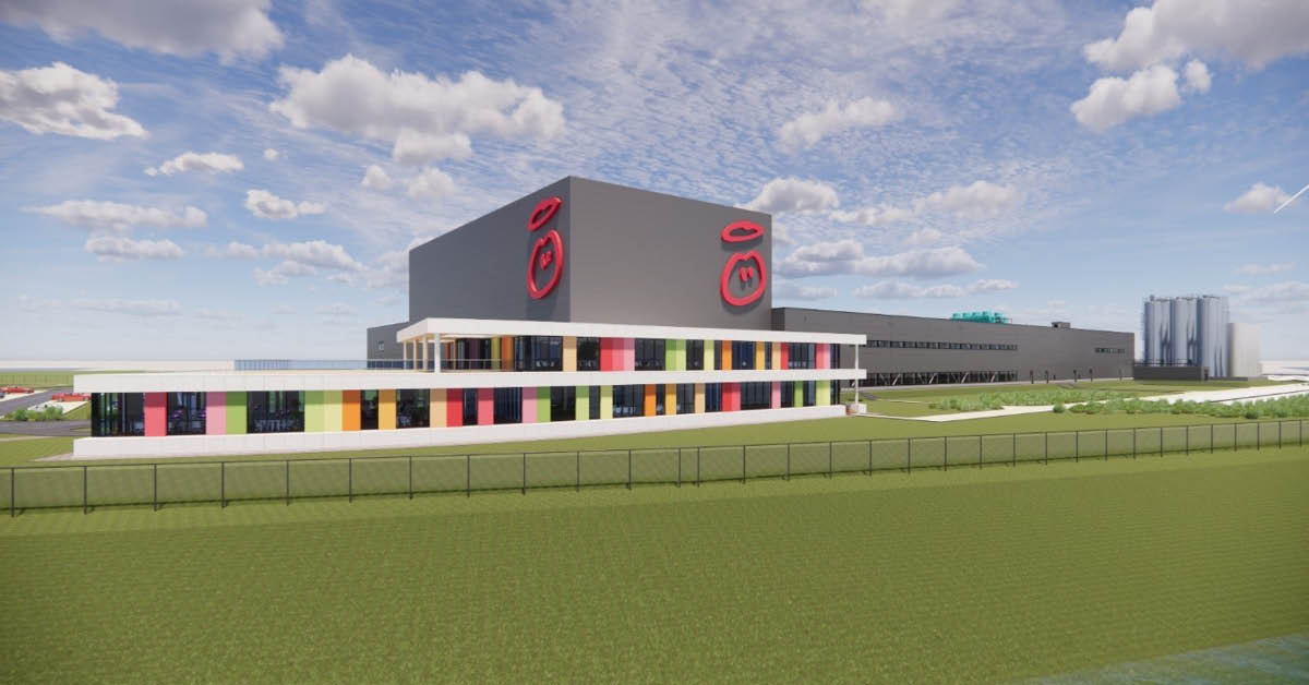 The earth’s favourite little healthy drinks factory – ‘the blender’