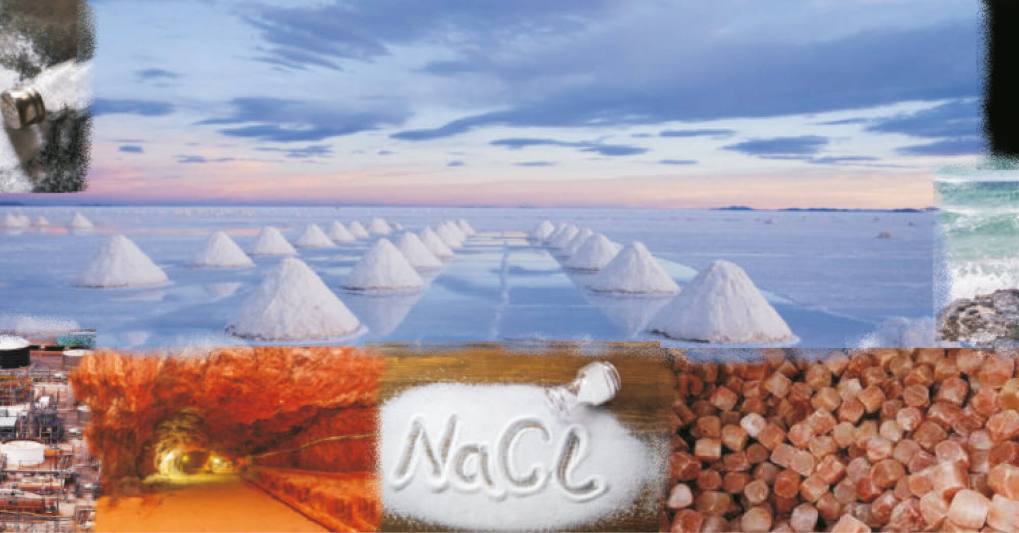 Common salt: A vital Ingredient - the story