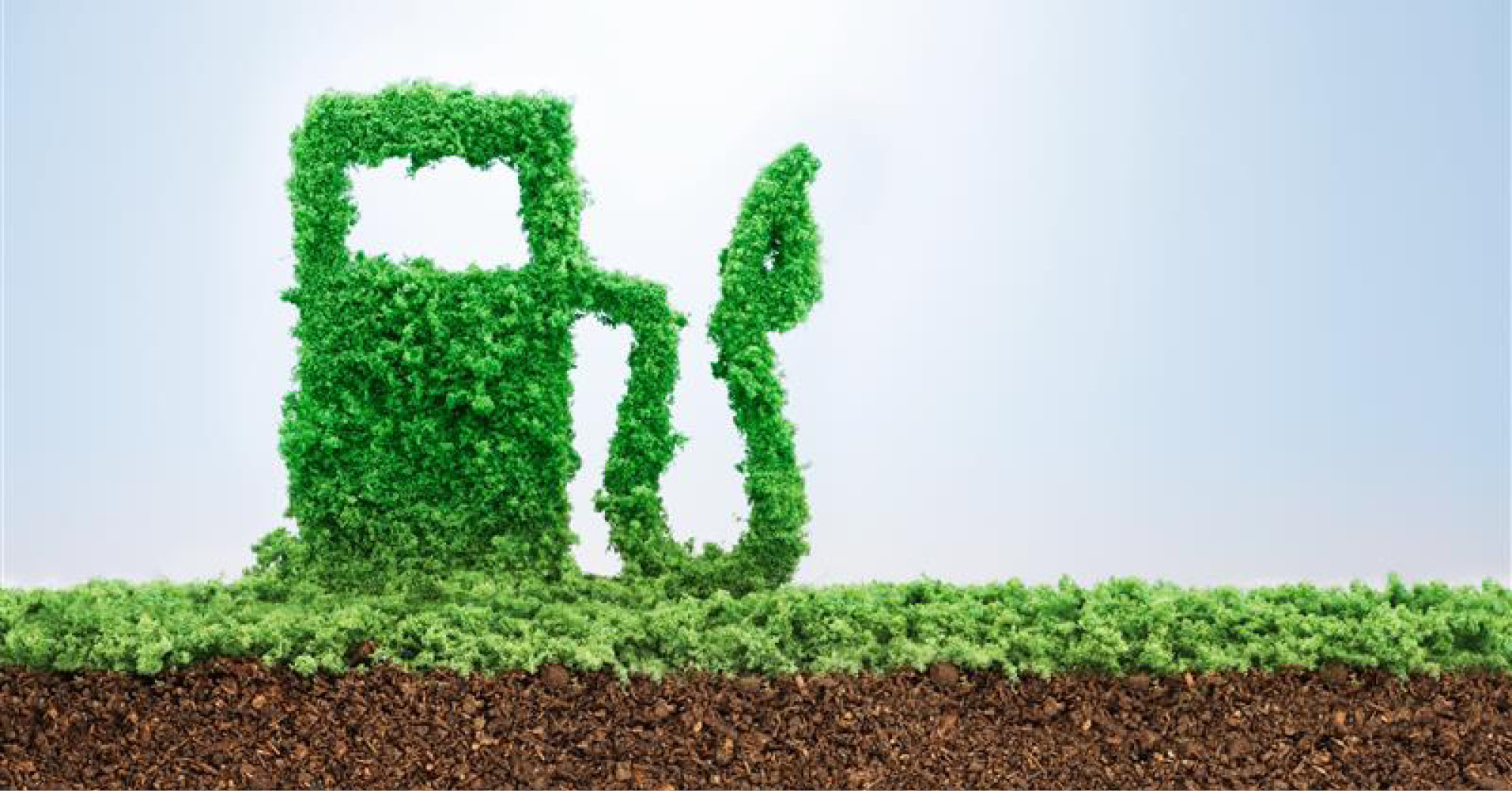 From molecules to mobility: The future of sustainable fuels