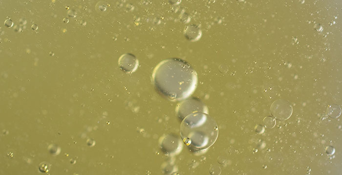 Lipids AGM & Young Lipid Scientist Award Meeting