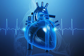 AI used to create inexpensive early detector of heart disease