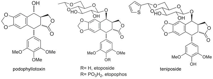 Horticulture Group Newsletter - May 2012