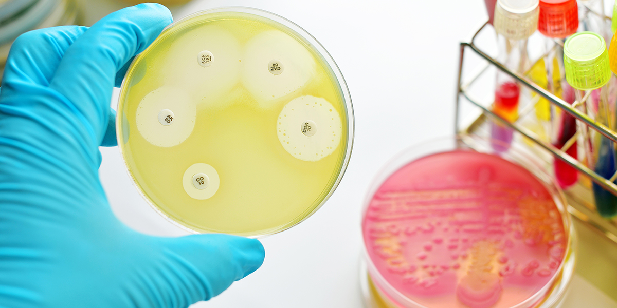 SCInews - UNEP and India collaborate on AMR in the environment