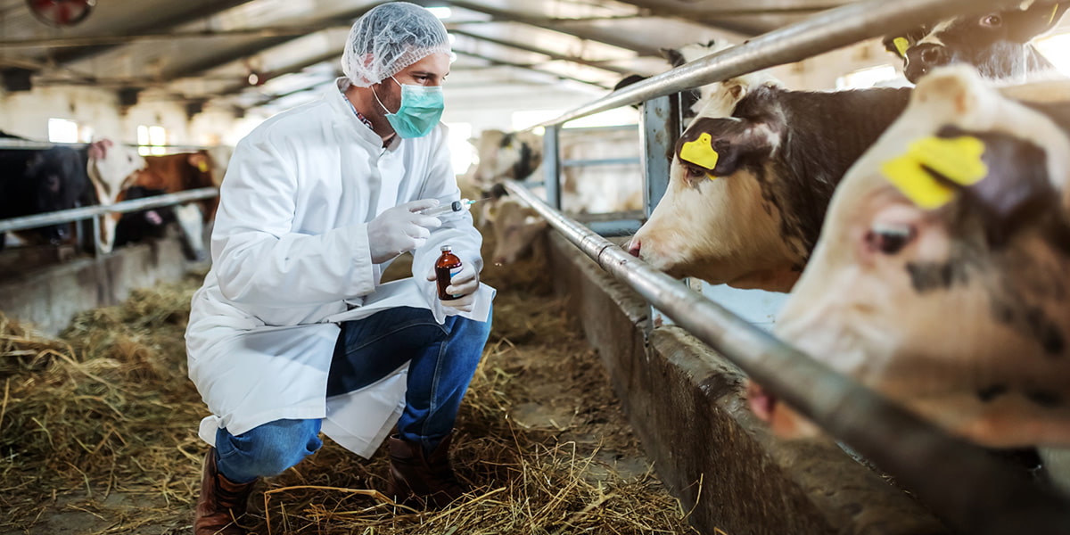 SCI News - UK scientific and veterinary capability is enhanced