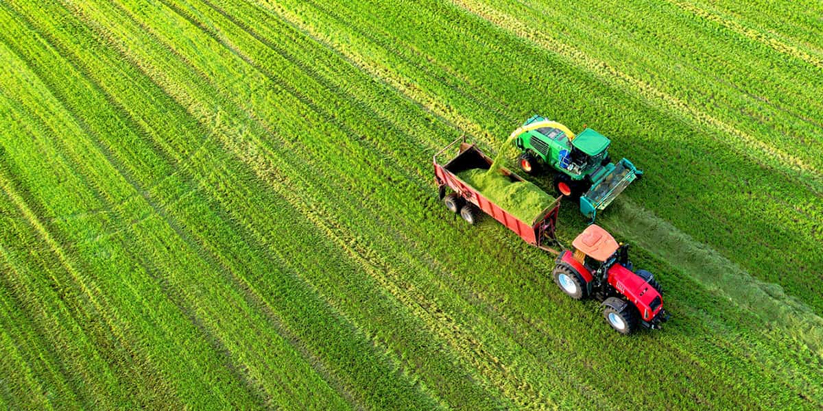 SCI News - How do we move to non-fossil fuel feedstocks?