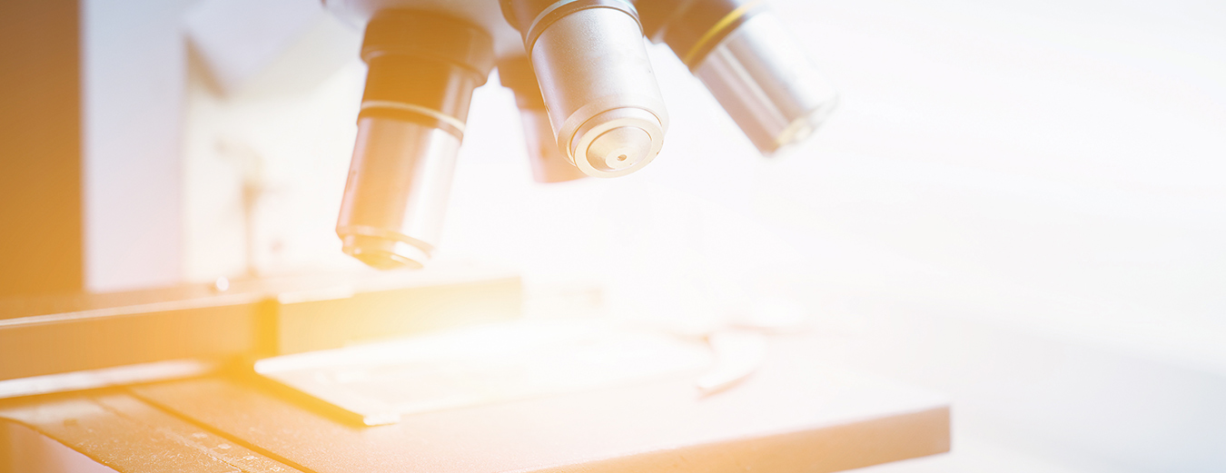 SCI News - Bayer sets up Bioethics Council for oversight on ...