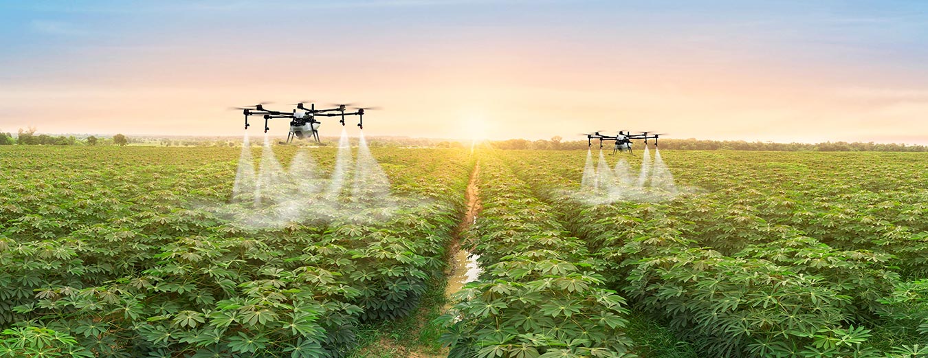 SCI News - Syngenta crop protection researcher: digital tools won’t ...
