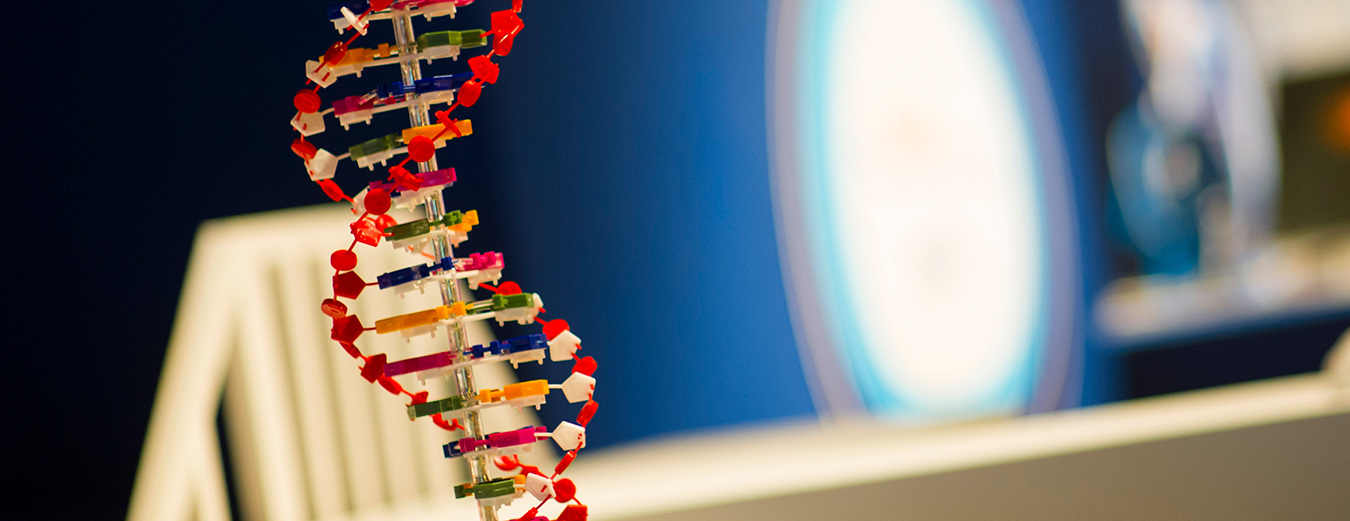 SCI News - UKRI announces funding for life sciences, including new ...