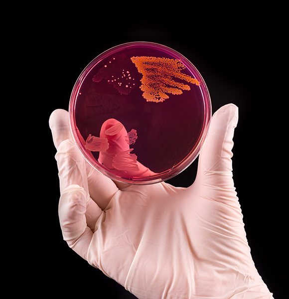 Society of Chemical Industry - JSFA reports