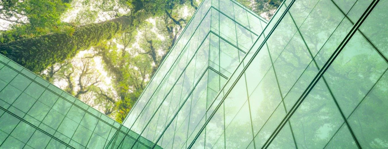 BASF, AM Green explore options for low-carbon chemicals