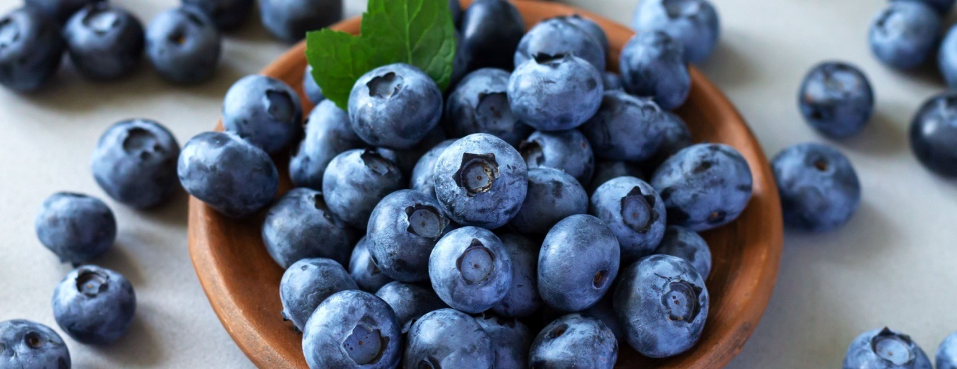 Finding a better way to keep blueberries fresh for longer