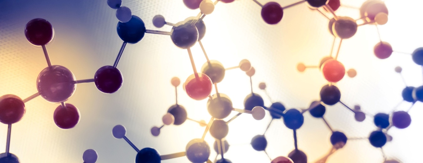 SCI Canada Awards 2025 winners