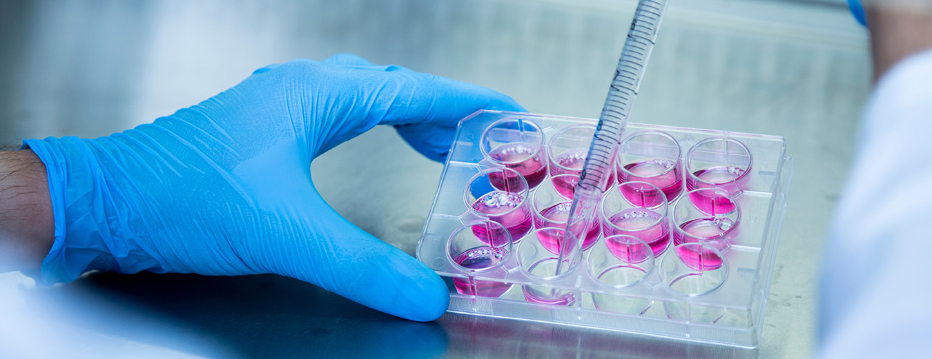 Roche plans $50bn pharma and diagnostics investment in US