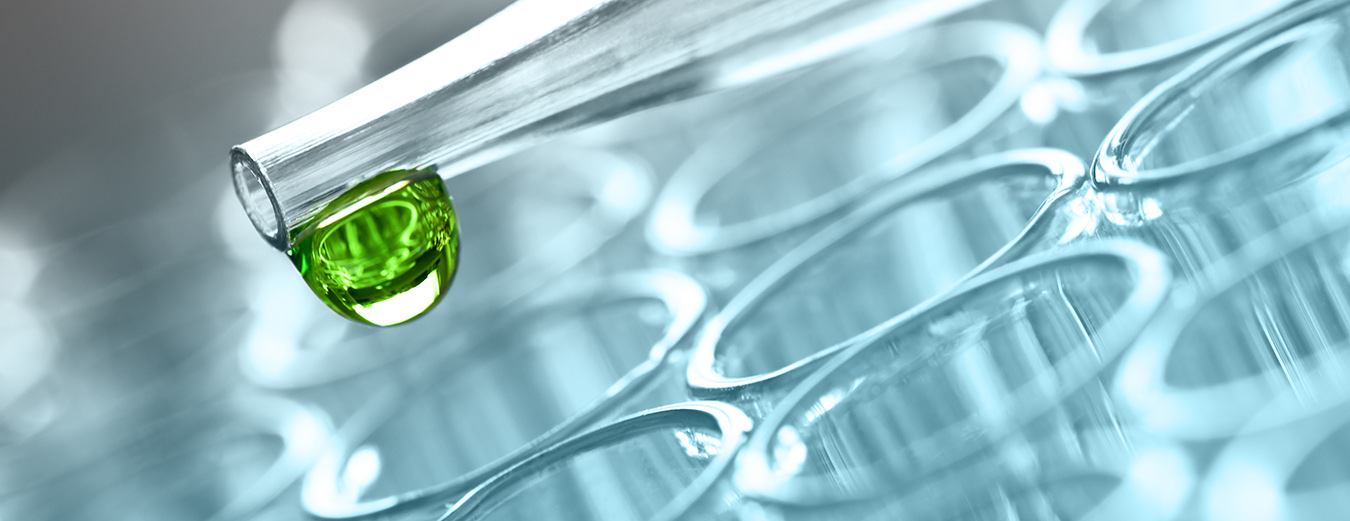 Major green chemistry project targets four key areas