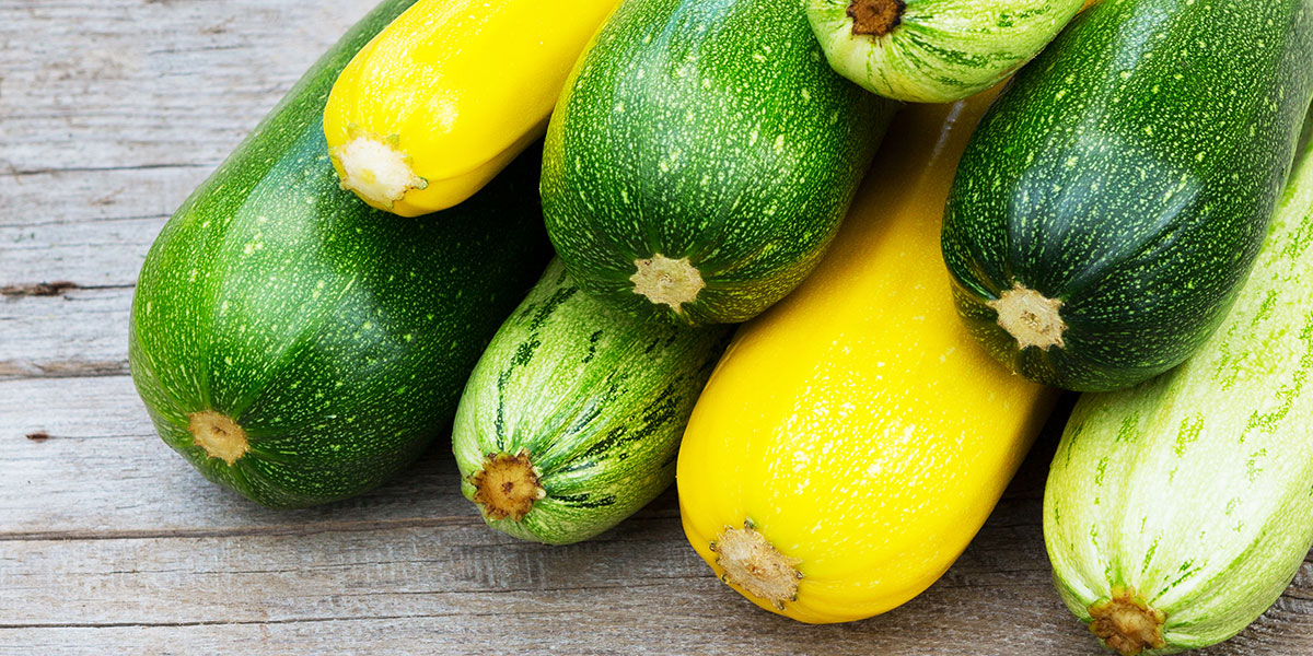 SCIblog - Courgettes – how to grow these tender fruits