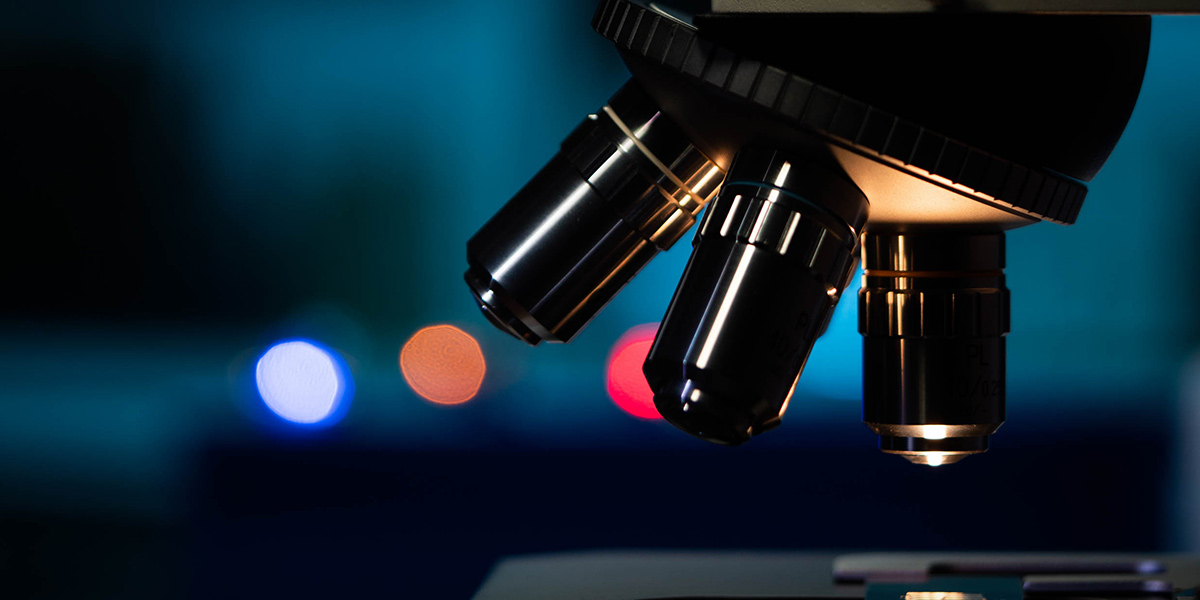 SCIblog - Jane Frommer awarded Perkin Medal