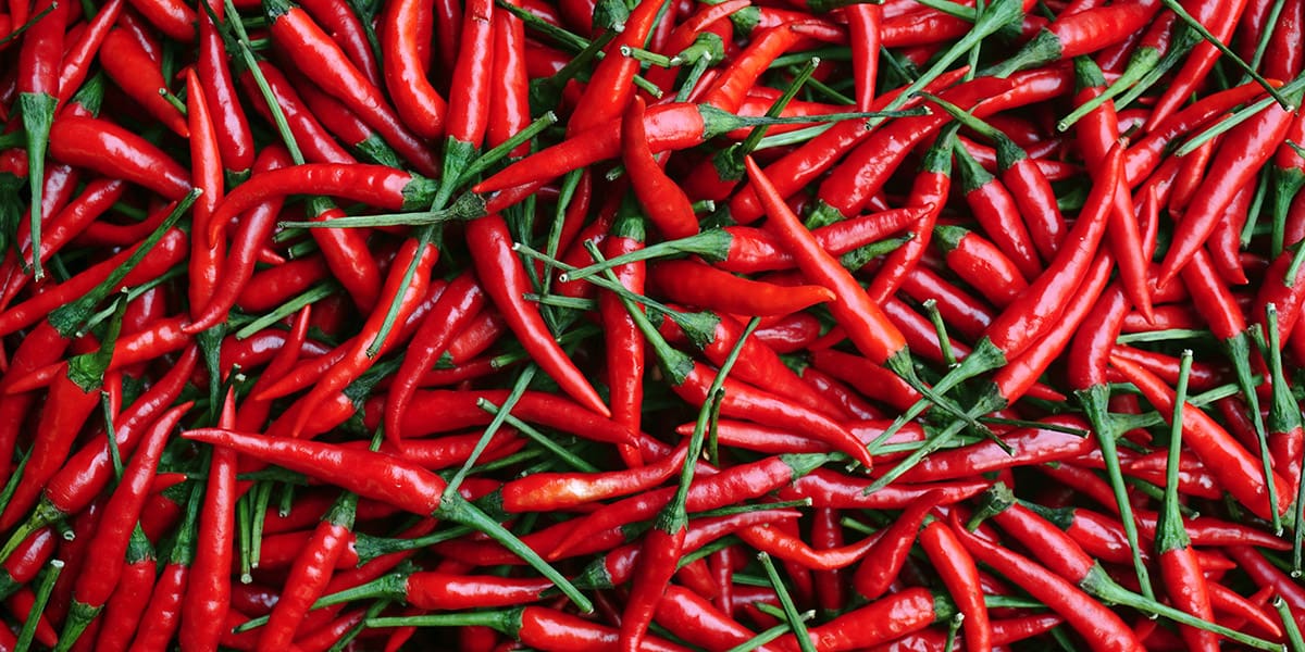 SCIblog - Chilli chemistry: Why are chillis spicy for humans, but not ...