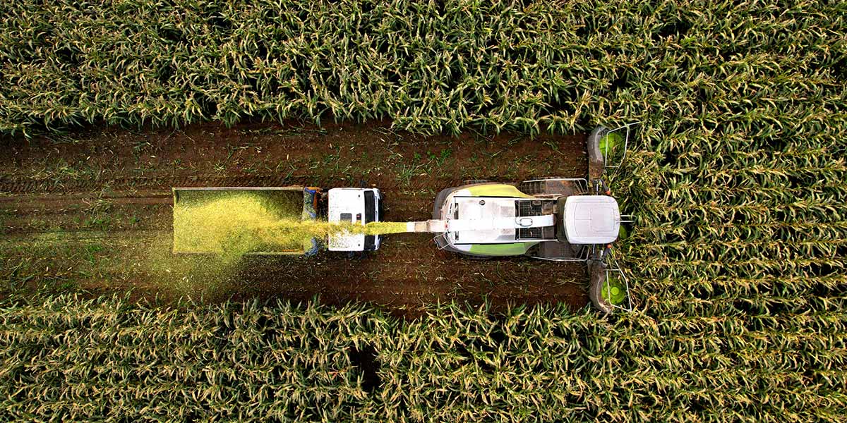 SCI Blog - 4 of the latest green feedstocks